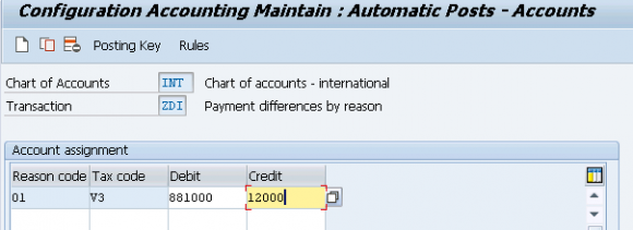 Define Accounts for Payment Differences (Manual Outgoing Payment) | OBXL