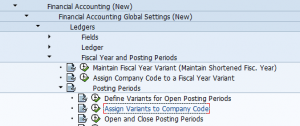 Assign Variants to Company Code | SAP Transaction Code OBBP
